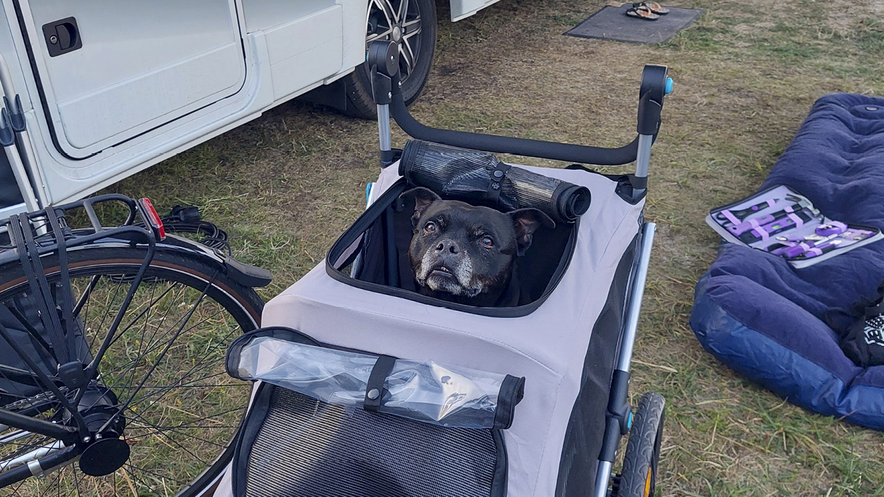 Ett år med husbil – så var det | Caravan Club of Sweden